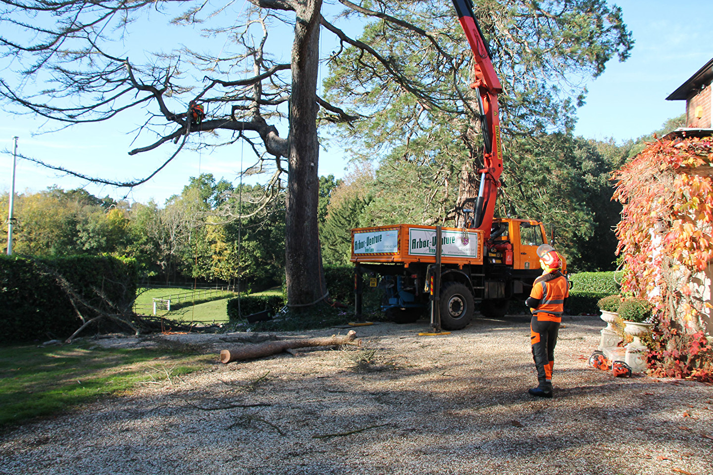 Tree Care Company Uses Ninja™ Foot Ascender to Climb Faster and Easier ...