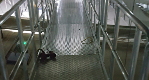 Spider Access Makes Light Work of Load Handling with Riggers 500 ...